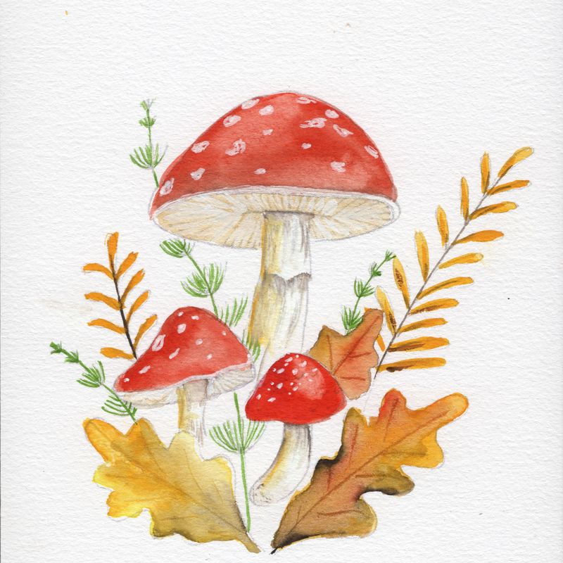 A6 akvarel Mal-selv-kort - AUTUMN – ARTivity Artbox